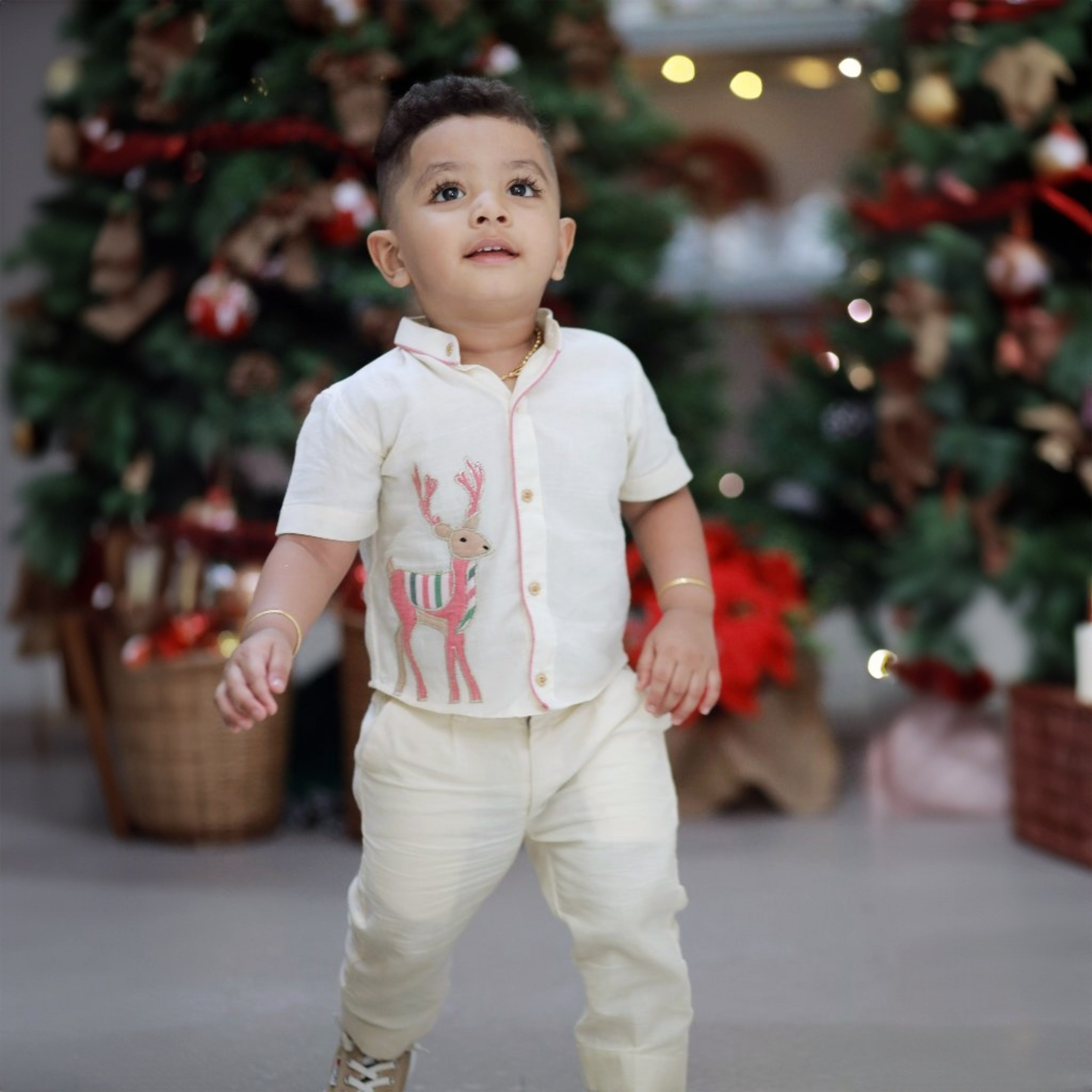 Hello Rudolph! Set – Mirali